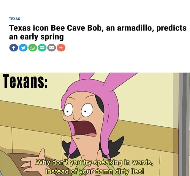 TEXAS Texas icon Bee Cave Bob, an armadillo, predicts an early spring ...
