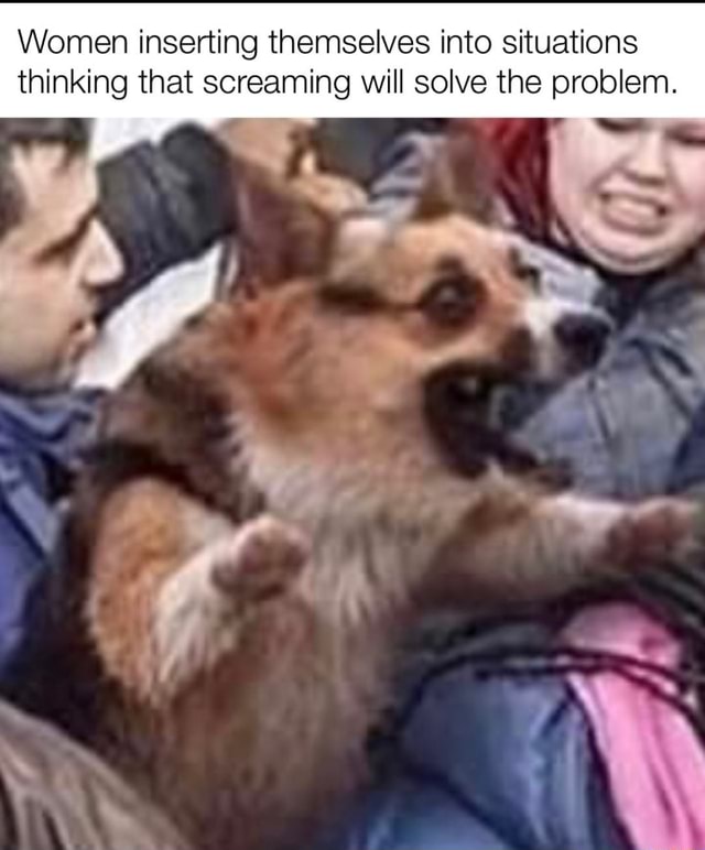 Women inserting themselves into situations thinking that screaming will solve the problem. - iFunny