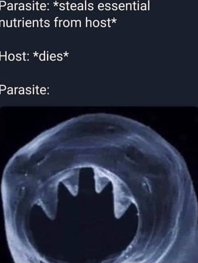 Parasite: *steals essential nutrients from host* Host: *dies* Parasite ...