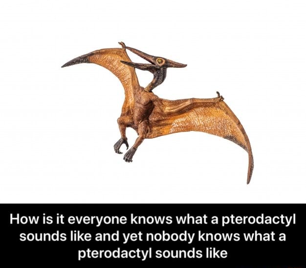 How is it everyone knows what a pterodactyl sounds like and yet nobody knows what a pterodactyl ...