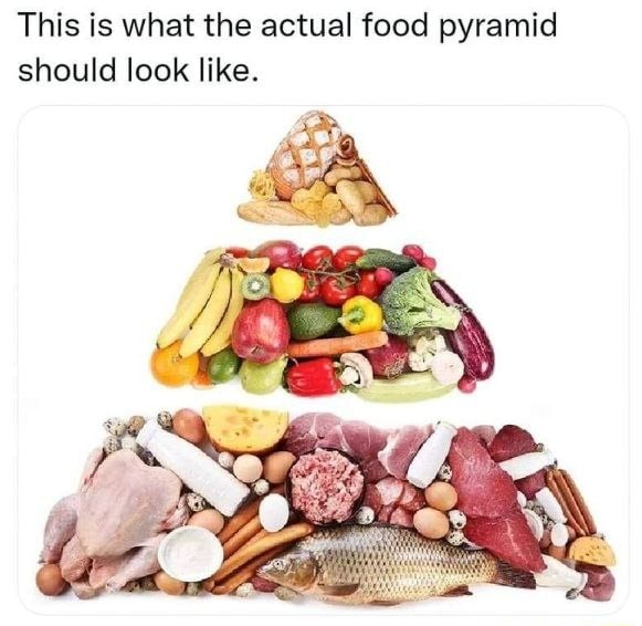 This is what the actual food pyramid should look like. - iFunny