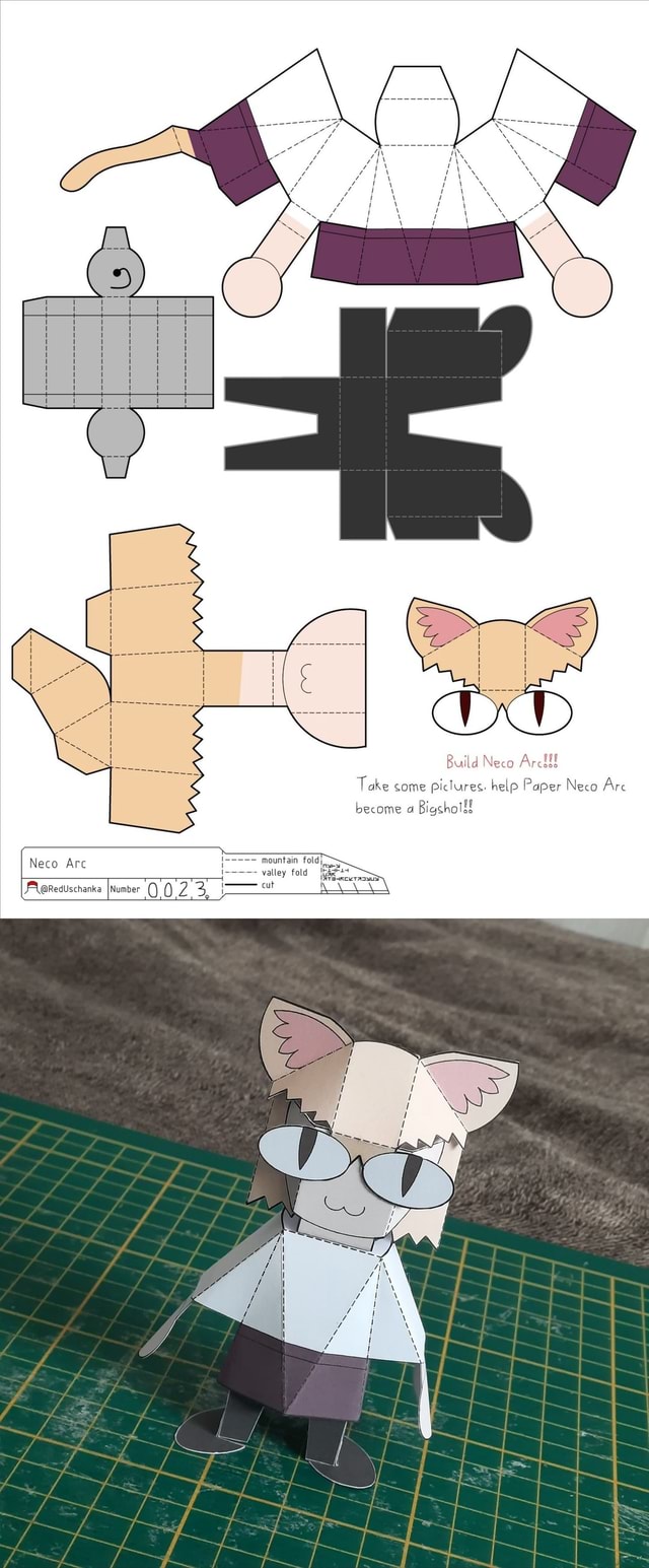 Build Neco Take some piclures. help Paper Neco Arc become a Bigshol ...