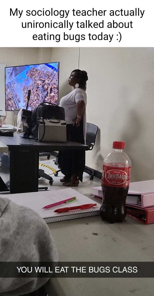 My sociology teacher actually unironically talked about eating bugs ...