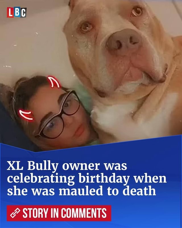 XL Bully owner was celebrating birthday when she was mauled to death STORY IN COMMENTS - iFunny