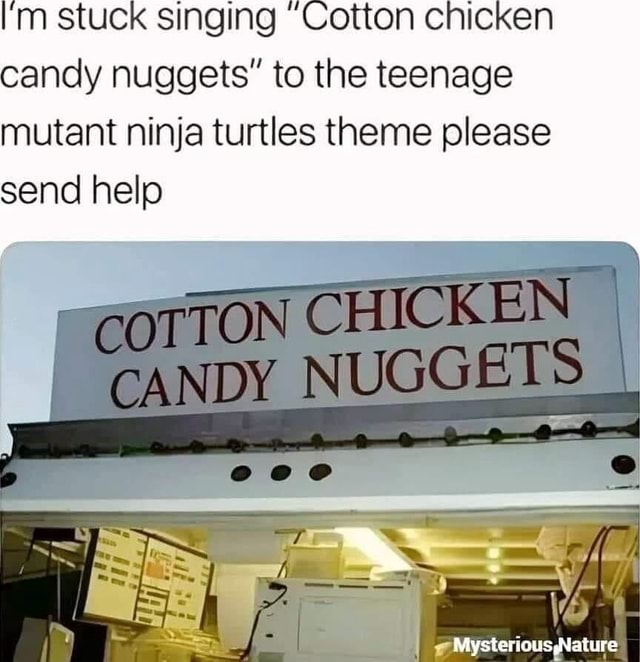 M stuck singing andy nuggets" to the teenage mutant ninja turtles theme ...