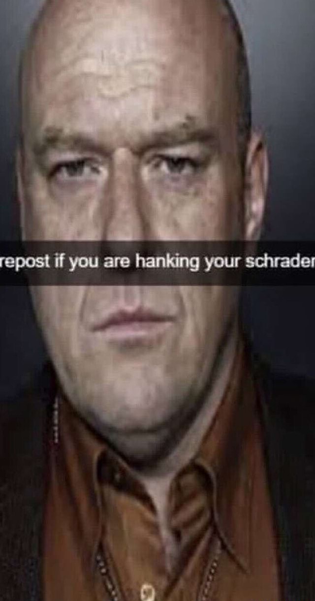 Repost if you are hanking your schrader - iFunny
