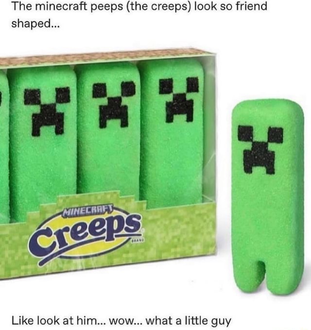Idk what I’m doing - The minecraft peeps (the creeps) look so friend ...