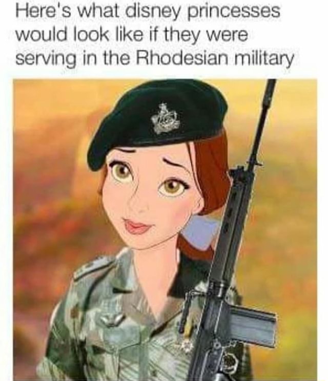 Here‘s what disney princesses would look like if they were serving in ...