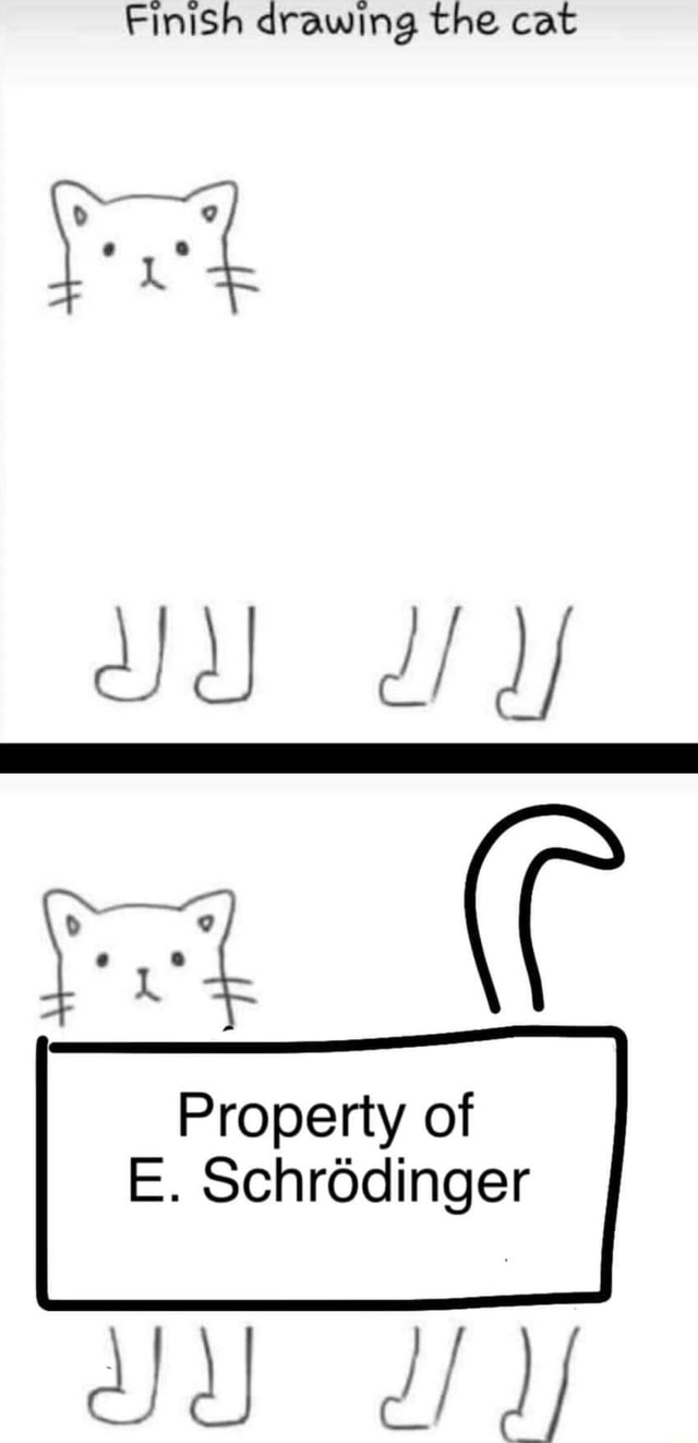 Finish drawing the cat Property of E. Schrodinger dy gi dI - iFunny