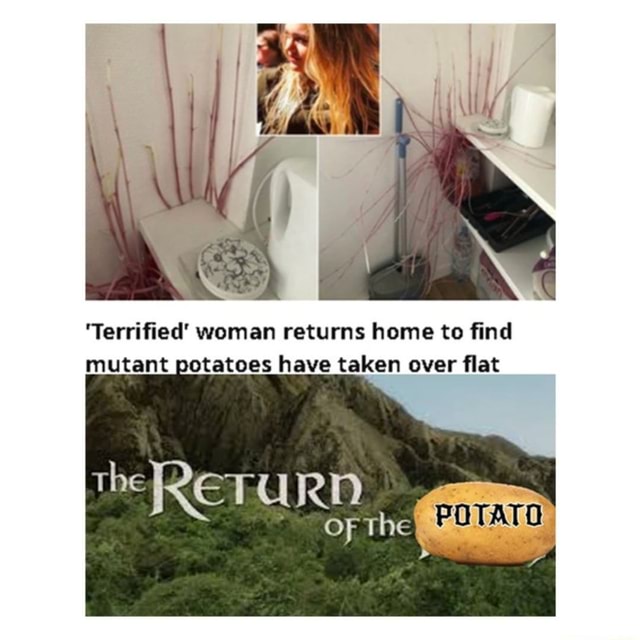 'Terrified' woman returns home to find mutant potatoes have taken over ...