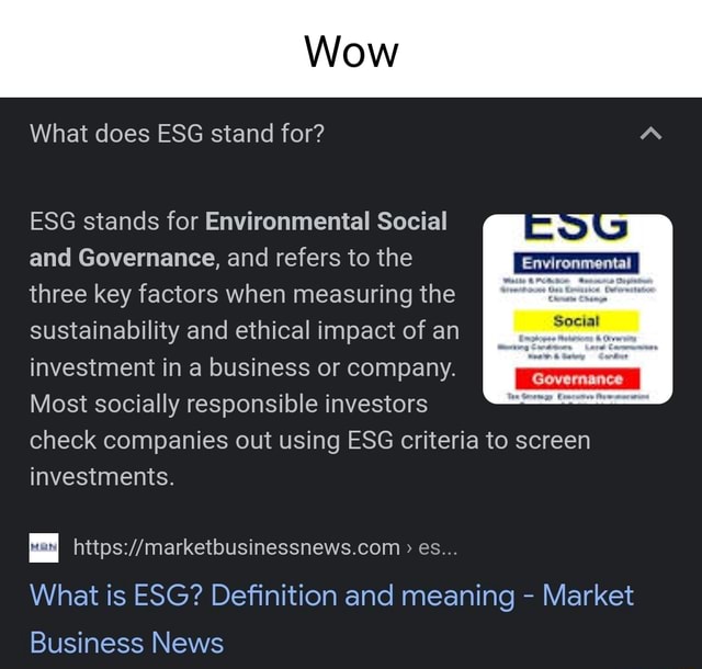 Wow What does ESG stand for? ESG stands for Environmental Social and ...