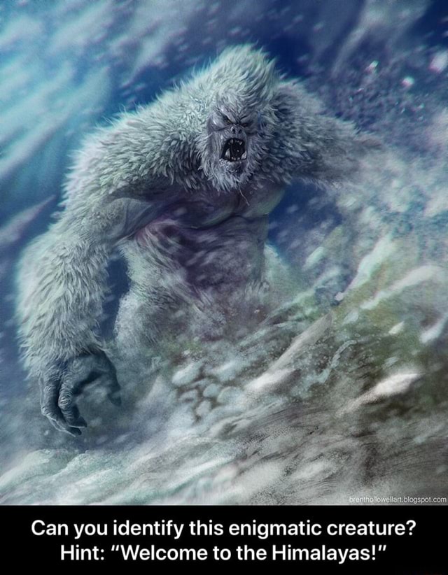Can you identify this enigmatic creature? Hint: "Welcome to the Himalayas!" - Can you identify ...