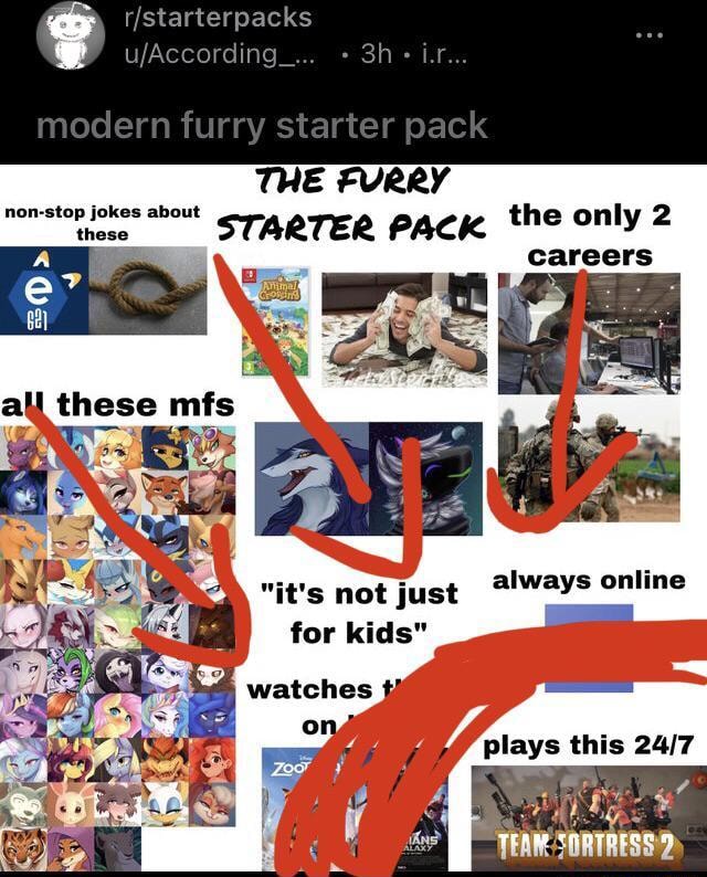 Modern furry starter pack FURRY non-stop jokes about STARTER PACK the ...