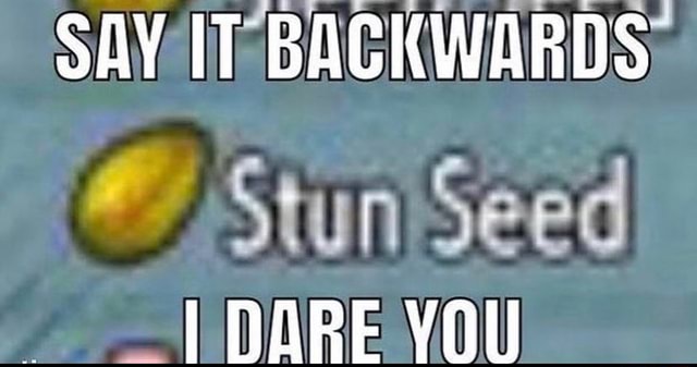 SAY IT BACKWARDS Stun Seed I DARE YOU - iFunny