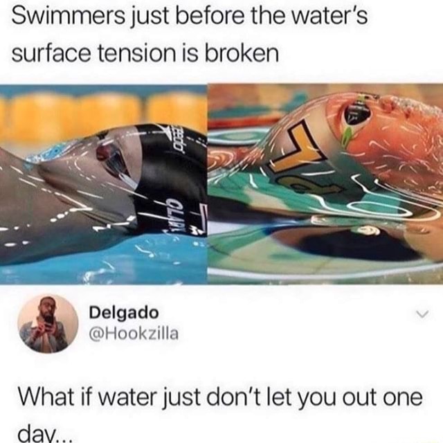 Swimmers just before the water’s surface tension is broken What if ...