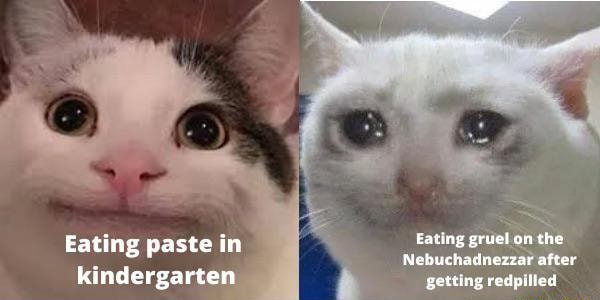 Eating gruel on the Nebuchadnezzar after Eating paste in Lindarocartan ...