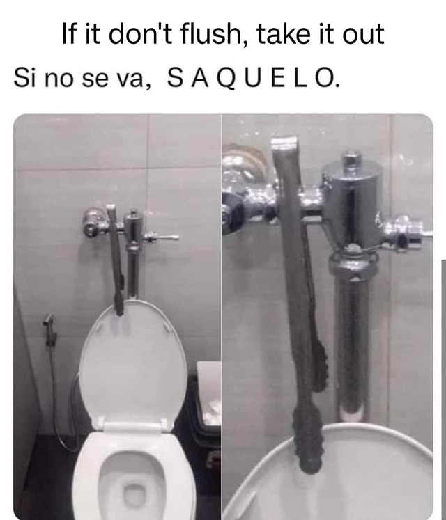 If it don't flush, take it out Sino va, SAQUELO. - iFunny