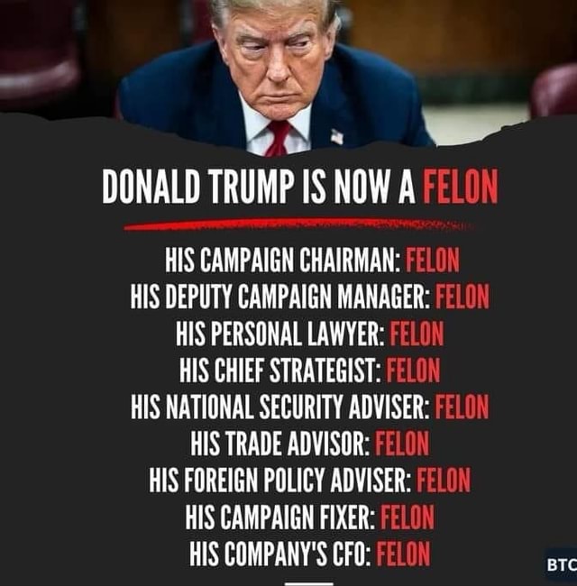DONALD TRUMP IS NOW A FELON HIS CAMPAIGN CHAIRMAN: FELON HIS DEPUTY ...