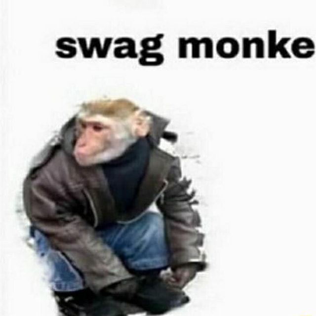 Swag monke - iFunny