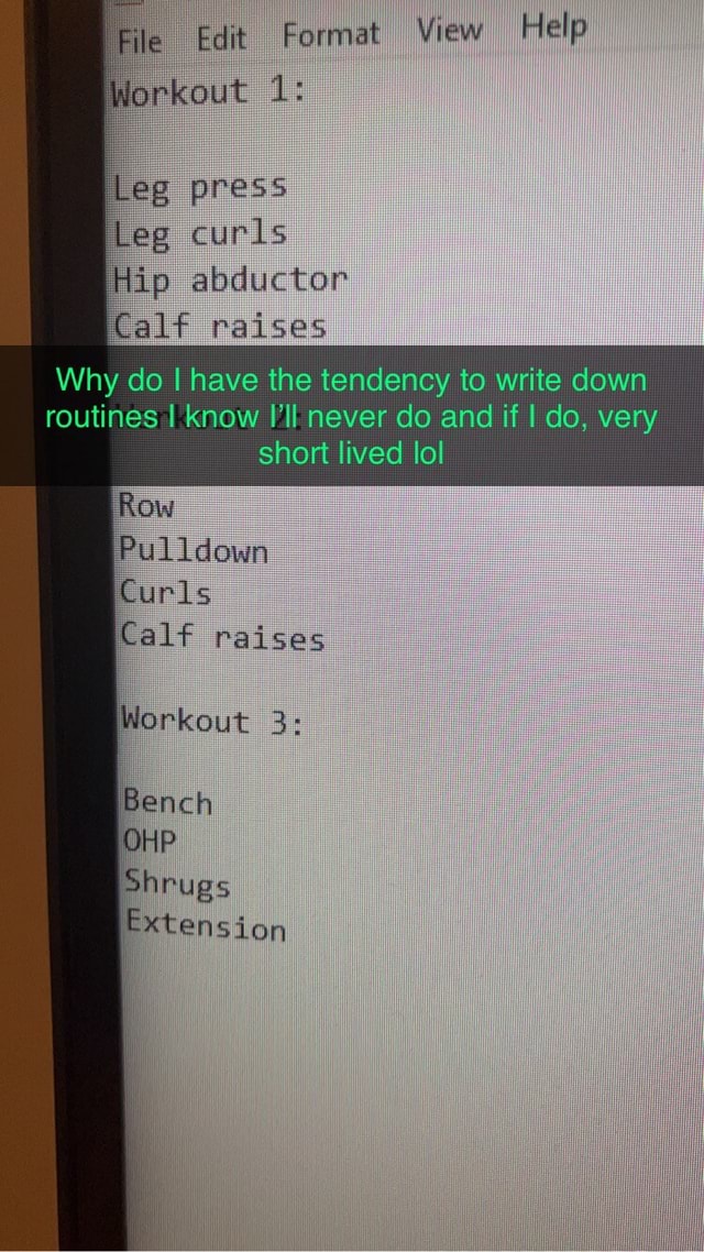 Kile Edit I Format View Help orkout 1: Leg press Leg curls Hip abductor ...