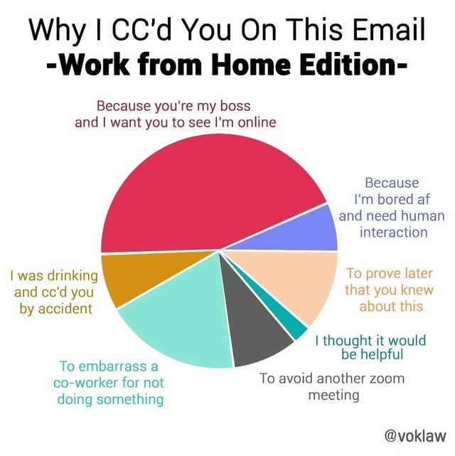 Why I CC'd You On This Email -Work from Home Edition- Because you're my ...