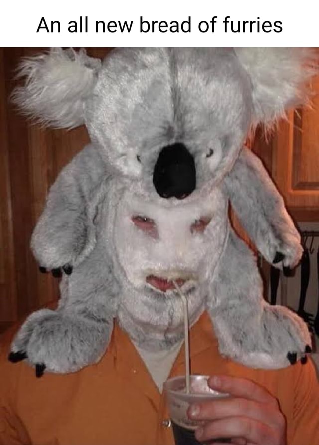 An all new bread of furries - iFunny