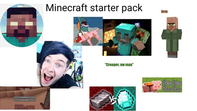 Minecraft starter pack - iFunny
