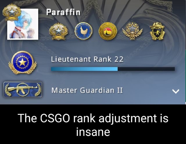 Paraffin Lieutenant Rank 2? LT Master Guardian The CSGO rank adjustment ...