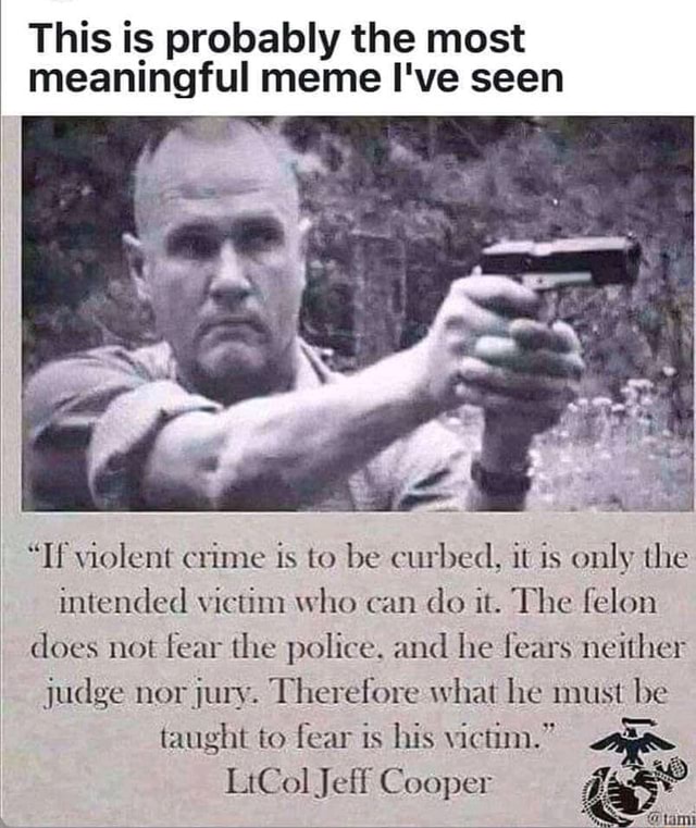 This is probably the most meaningful meme I've seen "If violent crime ...