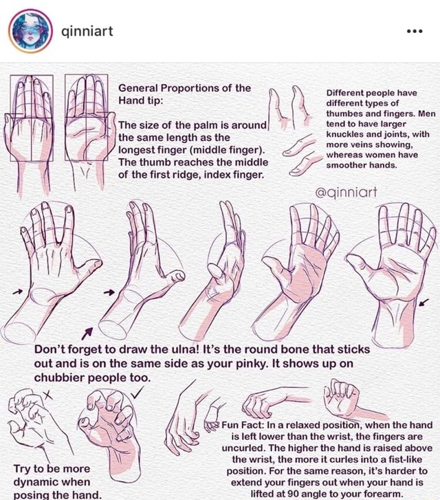 Thumbes and fingers. Men The size of the palm is around tend to have ...