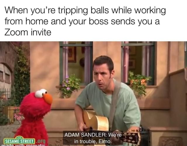 When you're tripping balls while working from home and your boss sends ...