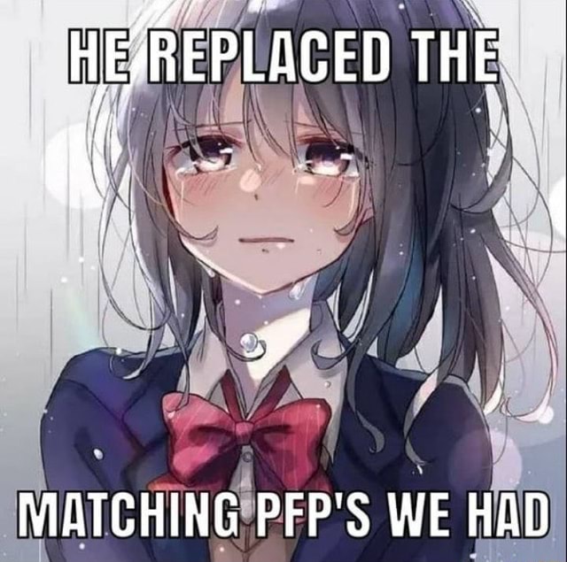 HREPLACED THE SS MATCHING PFP'S WE HAD - iFunny