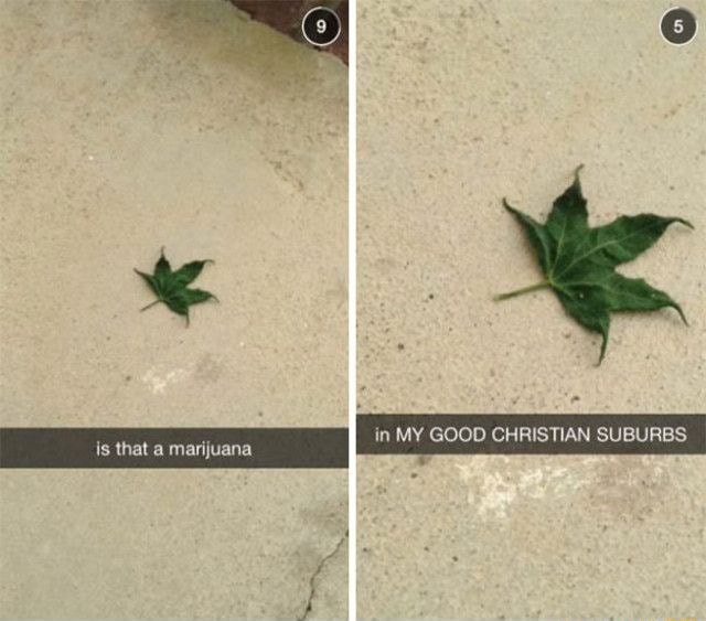 In MY GOOD CHRISTIAN SUBURBS marijuana - iFunny