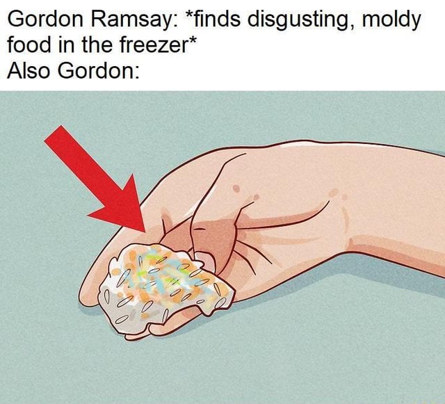 Gordon Ramsay: "finds disgusting, moldy food in the freezer* Also ...