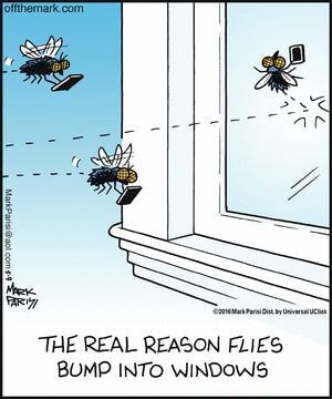More Cartoons - THE REAL REASON FLIES BUM? INTO WINDOWS - America’s ...