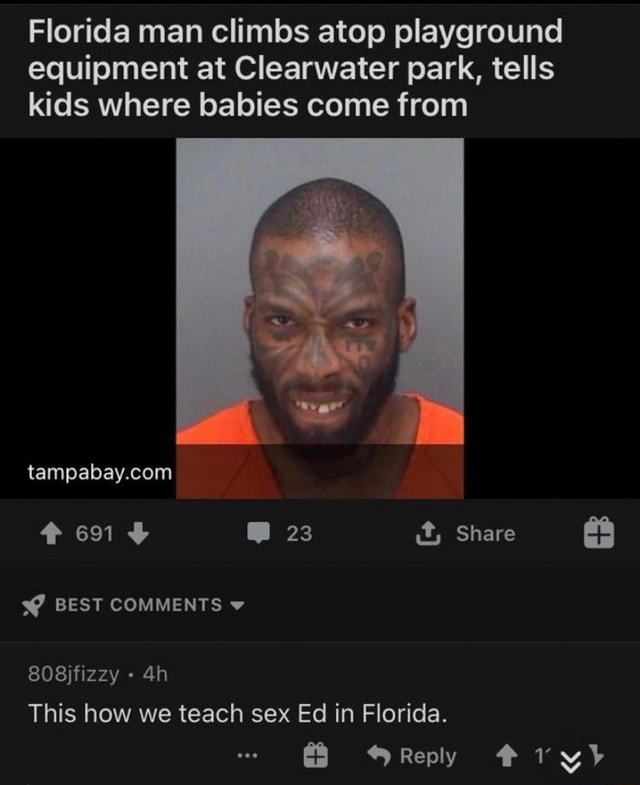 Florida man climbs atop playground equipment at Clearwater park, tells ...