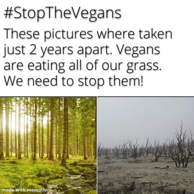 #StopTheVegans These pictures where taken just 2 years apart. Vegans ...