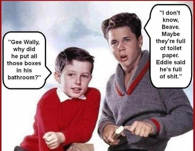 "Gee Wally, why did he put all those boxes in his bathroom?" "I don't ...