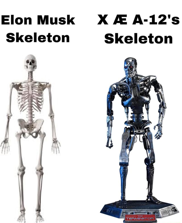 Elon Musk X A-12's Skeleton Skeleton - iFunny
