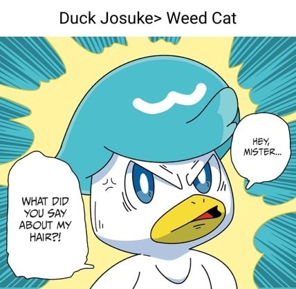Duck Josuke> Weed Cat - iFunny