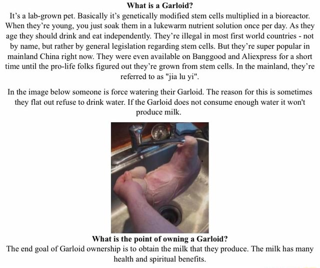 What is a Garloid? It's a lab-grown pet. Basically it's genetically ...