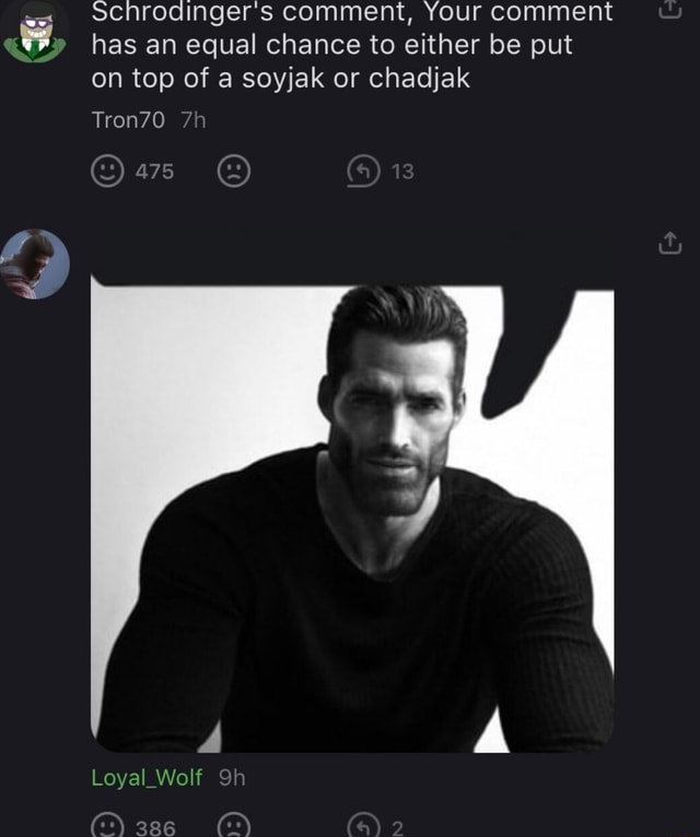 Schrodinger's comment, Your comment has an equal chance to either be ...