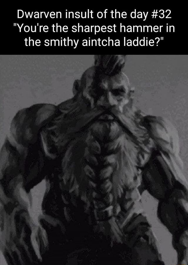 Dwarven insult of the day #32 "You're the sharpest hammer in the smithy ...
