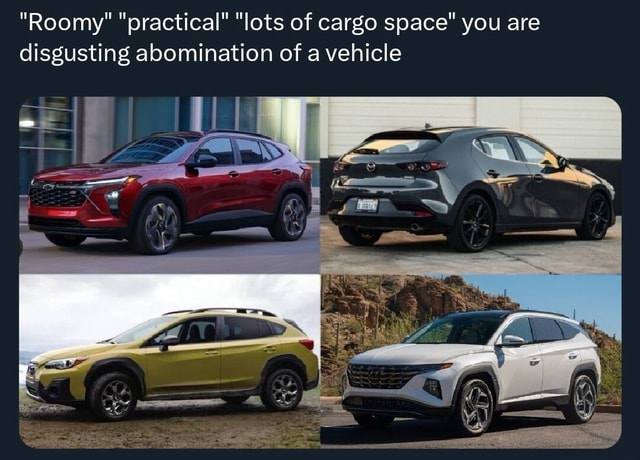 "Roomy" "practical" "lots of cargo space" you are disgusting ...