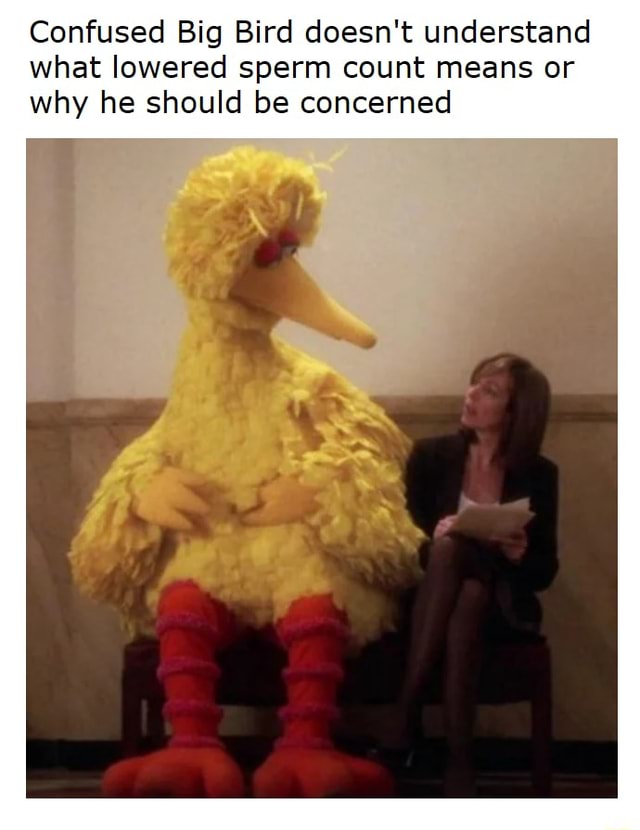 Confused Big Bird doesn't understand what lowered sperm count means or ...