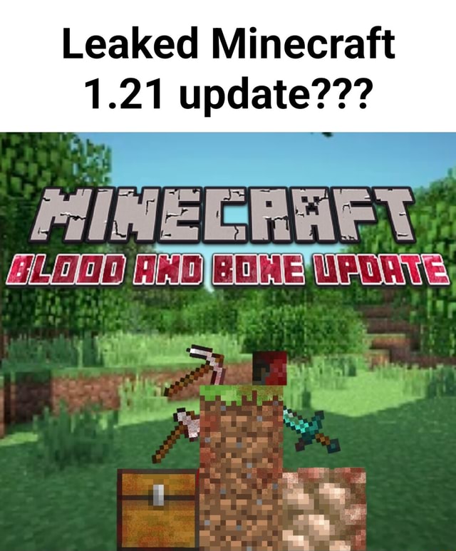 Leaked Minecraft 1.21 update??? TNEUP OW - iFunny