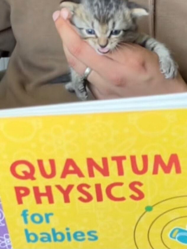 QUANTUM PHYSICS babies - iFunny