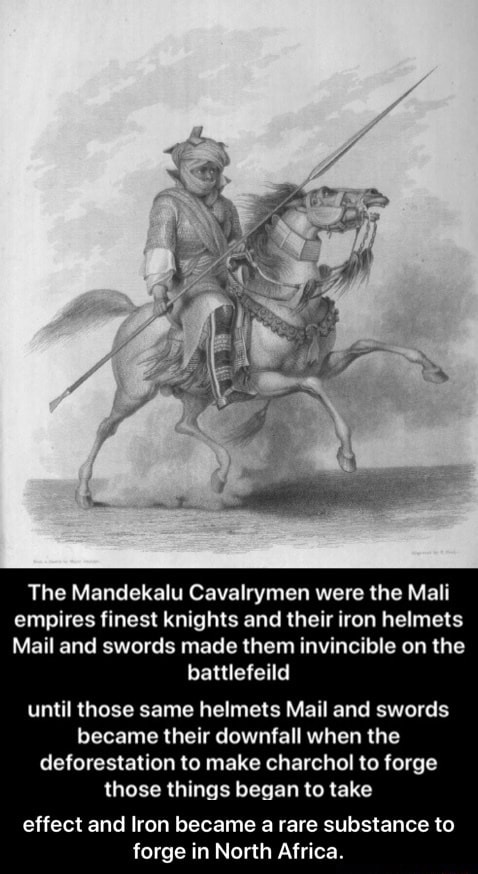 The Mandekalu Cavalrymen were the Mali empires finest knights and their ...