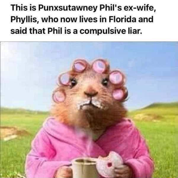Groundhog Day shouldn’t be this much fun. - This is Punxsutawney Phil's ...
