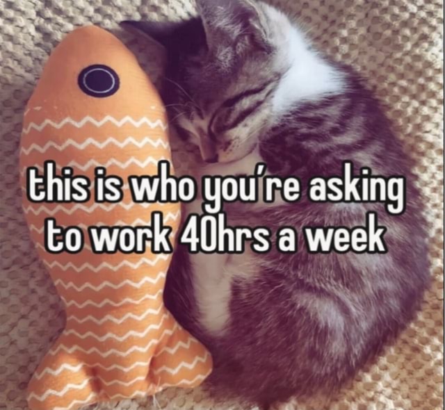 This is who you re asking to work 40hrs a week - iFunny